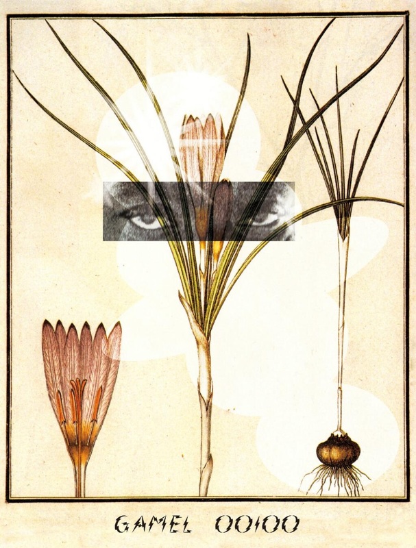 hair make OOIOO/YxOxAx by KEI | OOO YY